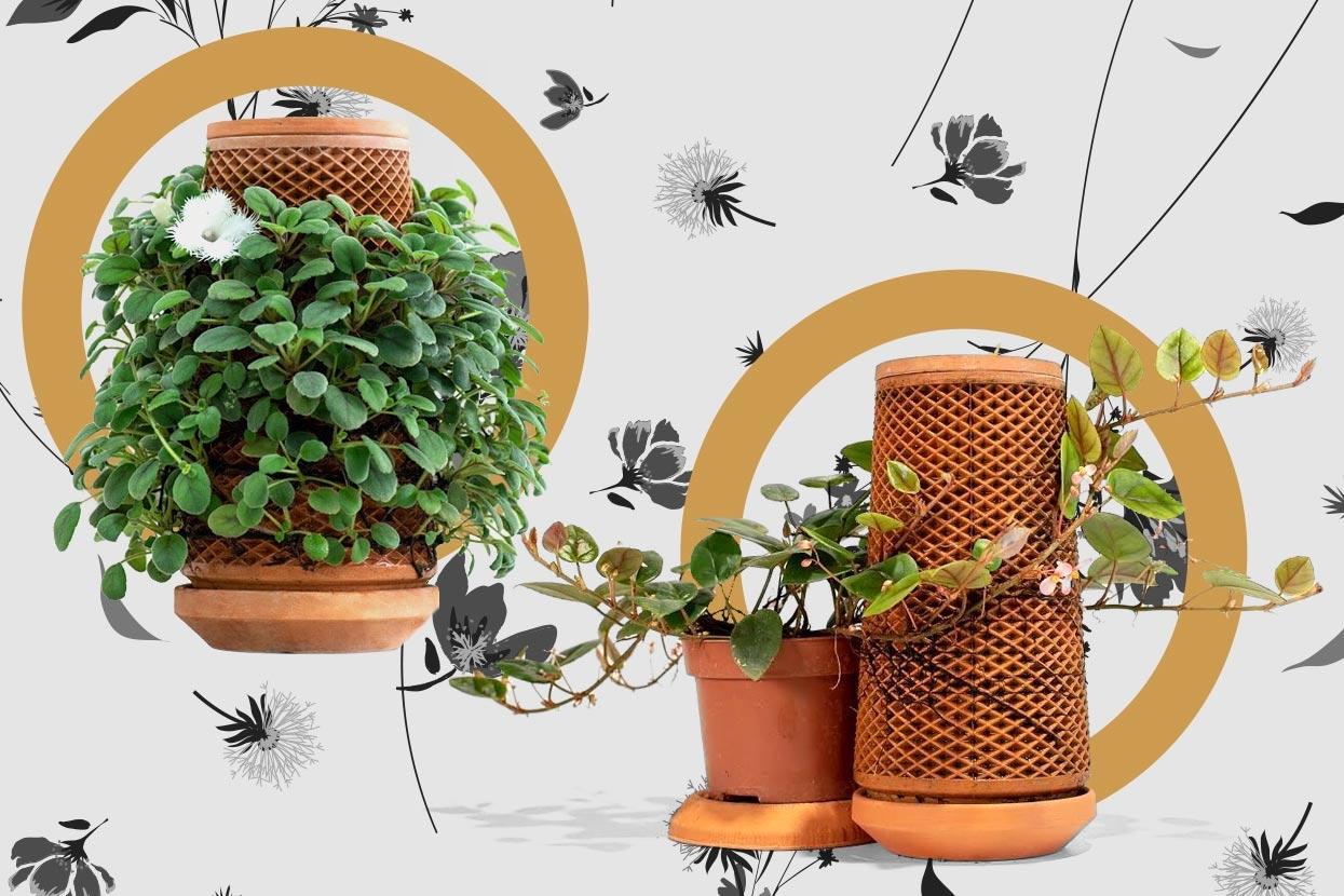 Gloria Glam - Terraplanter nas je oduševio, a oduševit će i vas ako ...